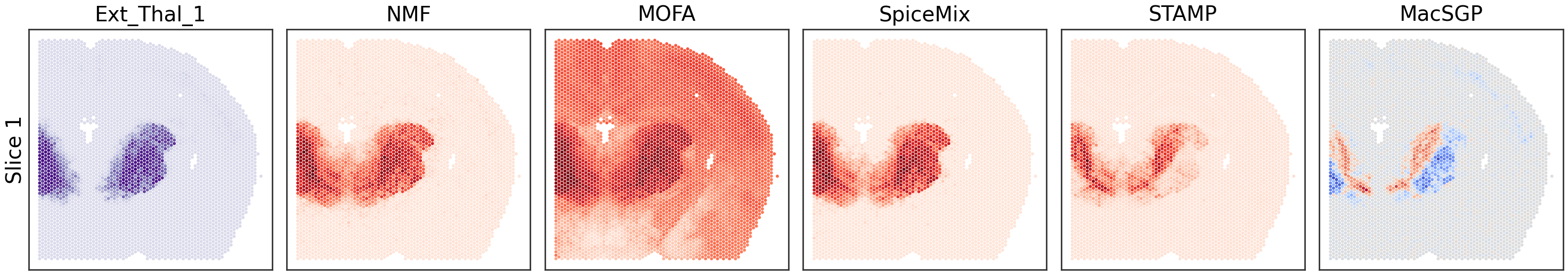 Mouse brain dataset analysis